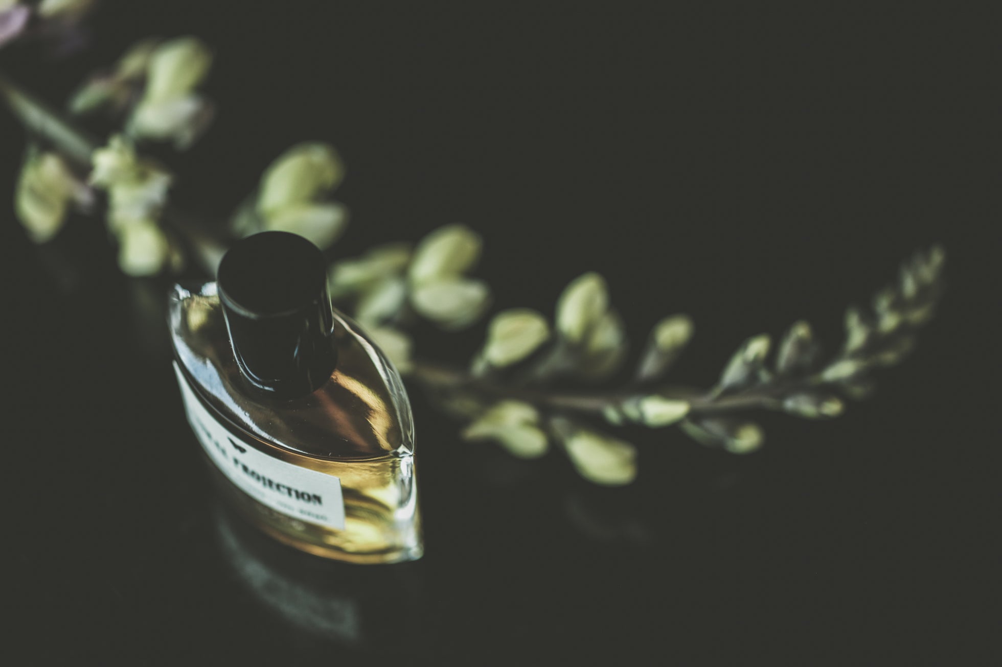 Astral Projection - natural perfume oil – For Strange Women